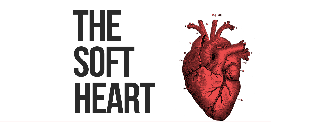 The Soft Heart: Living Whole in a Numb World - Josh Schlotterbeck